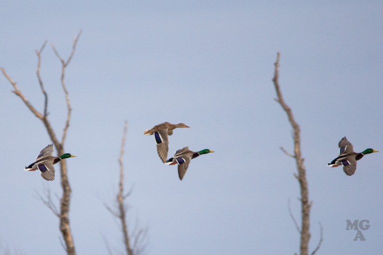 Favorite Photos of 2025 – Michael A. Gilbert