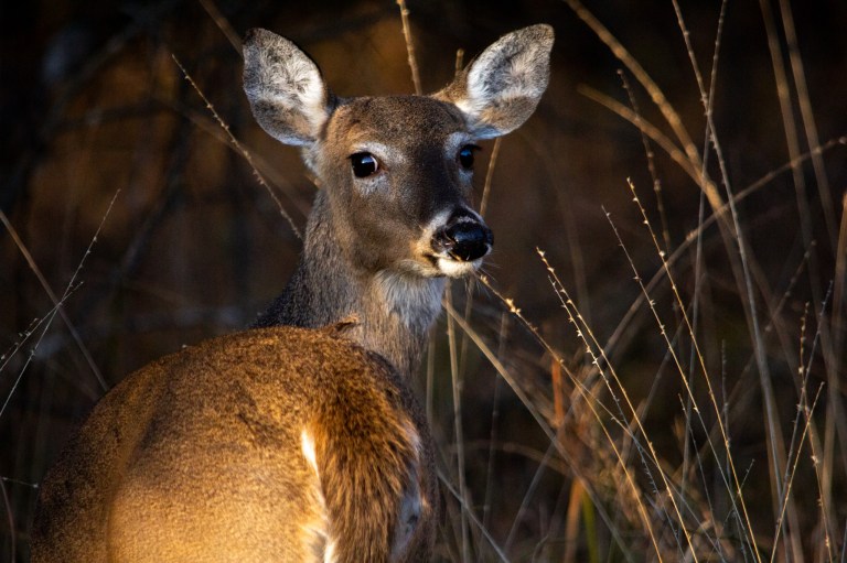 Favorite Photos of 2025 – Michael A. Gilbert