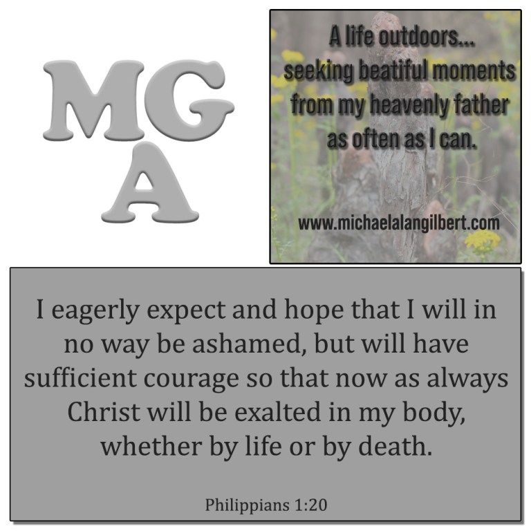 Favorite Photos of 2025 – Michael A. Gilbert